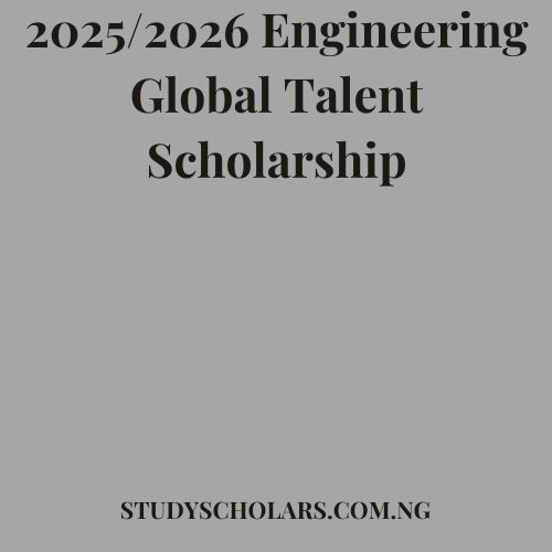 2025/2026 Engineering Global Talent Scholarship - Study Scholars