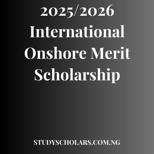 2025/2026 International Onshore Merit Scholarship - Study Scholars