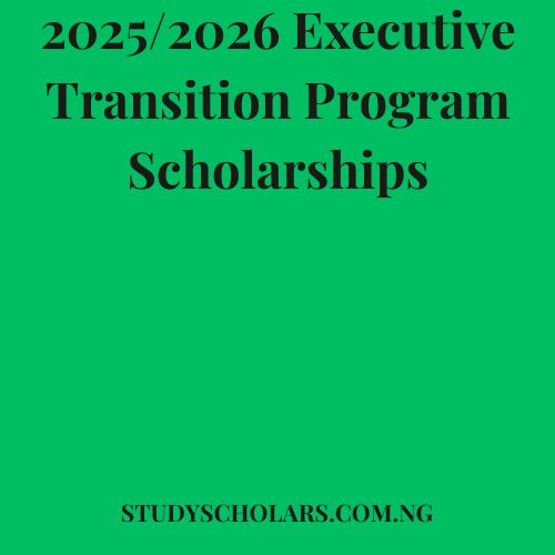 2025/2026 Executive Transition Program Scholarships - Study Scholars