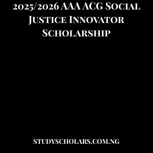 2025/2026 AAA ACG Social Justice Innovator Scholarship - Study Scholars