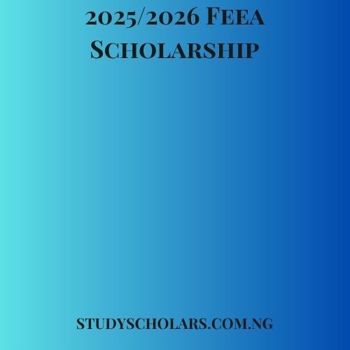 2025/2026 Feea Scholarship - Study Scholars